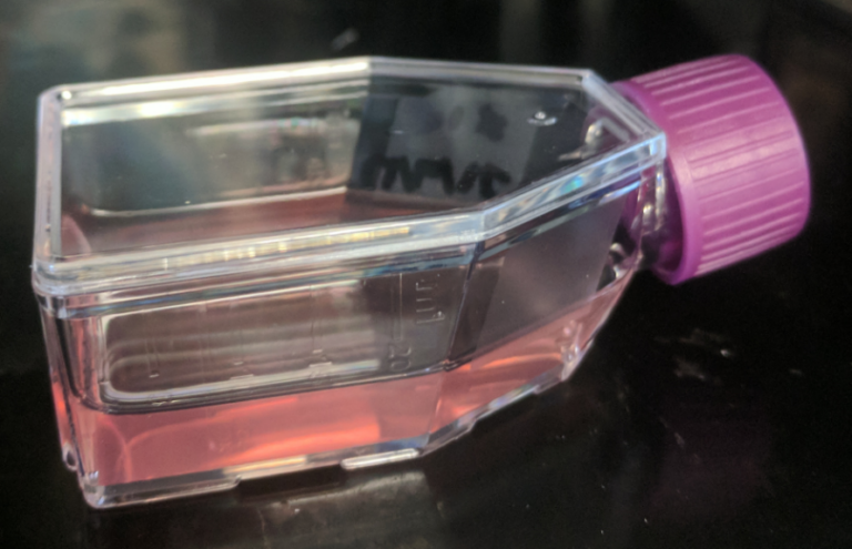 Cytotoxicity Testing | Innovotech